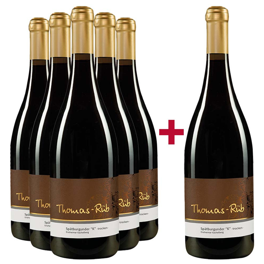 Thomas-Rüb 5+1 Paket Ensheimer Kachelberg Spätburgunder "K trocken bei ...