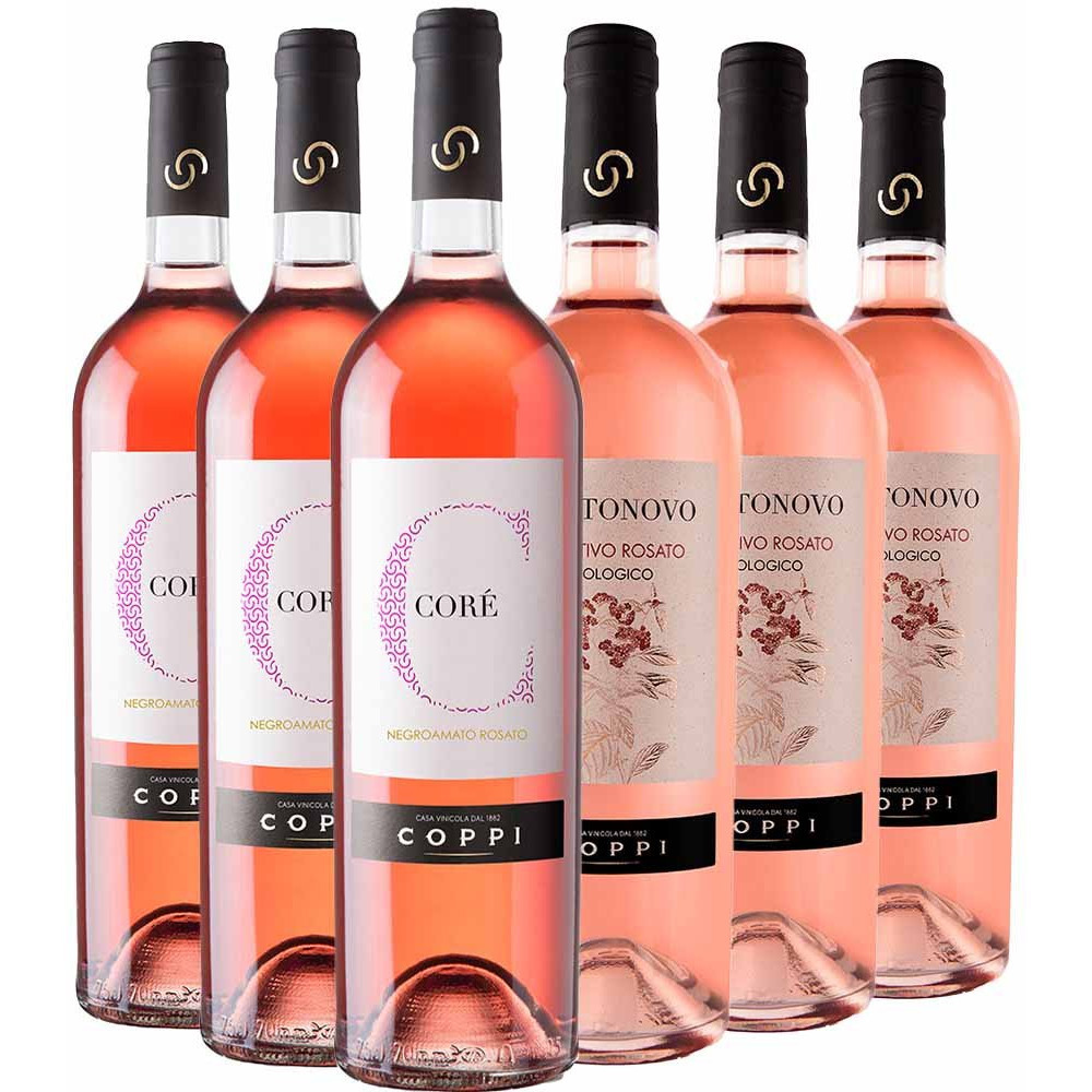 Cantina Coppi Cantina Coppi Rosè Kennenlern-Paket