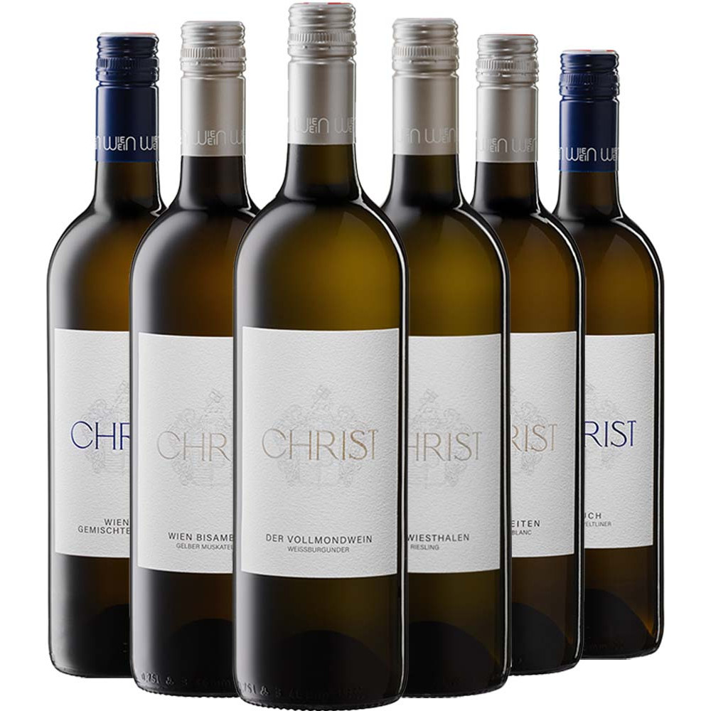 Rainer Christ Rainer Christ Kennenlernpaket