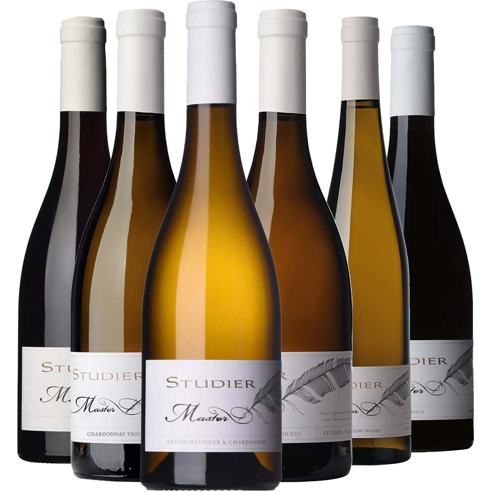 Studier Master Paket bei WirWinzer bestellen