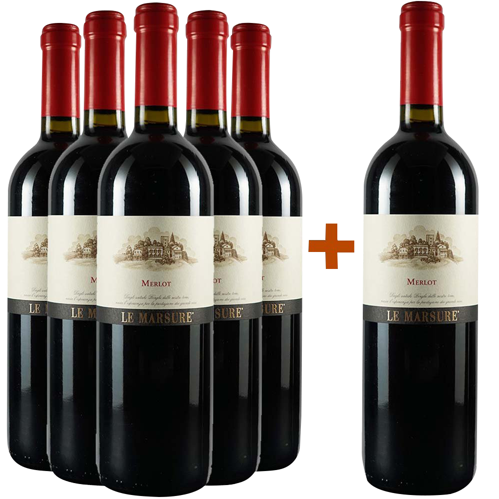 Teresa Raiz 5+1 Paket Merlot Le Marsure Friuli DOC