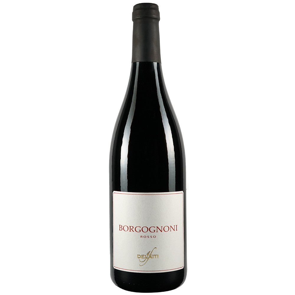 Delaiti Borgognoni Rosso Vigneti delle Dolomiti IGP trocken