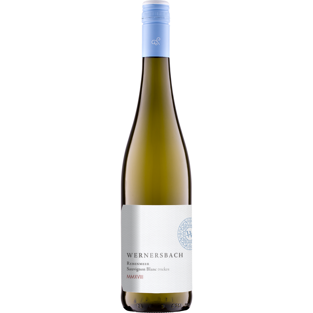 2024 Rebenmeer Sauvignon Blanc trocken - Weingut Wernersbach