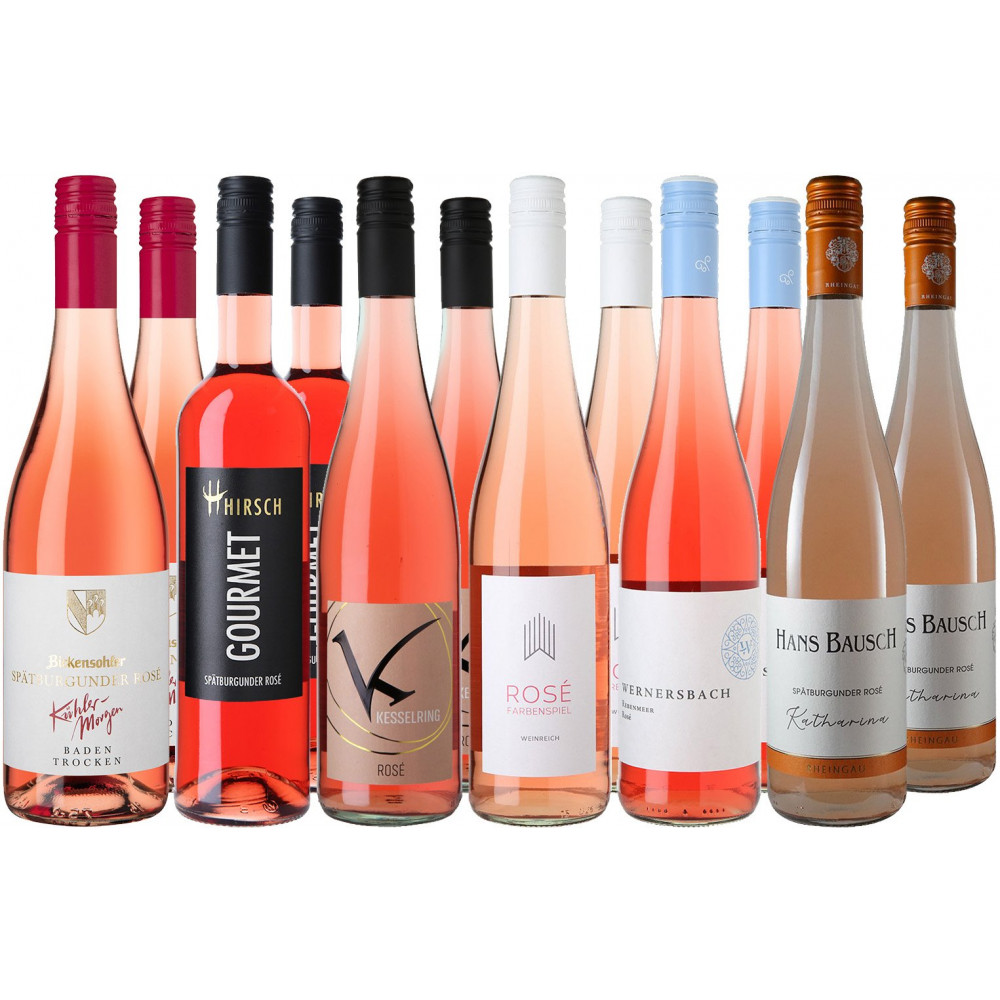 WirWinzer Select Großes Rosé Entdecker-Paket