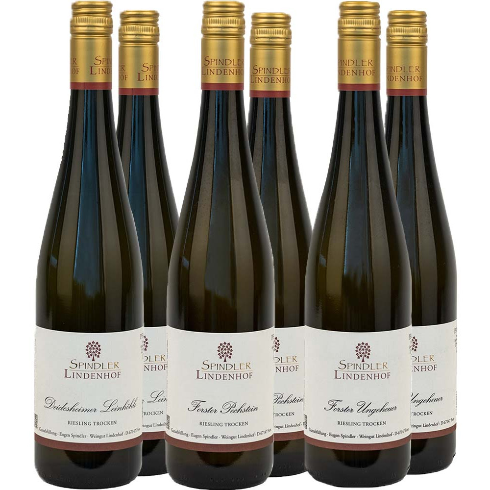 Eugen Spindler Weingut Lindenhof Riesling Terroir - Kennenlernpaket
