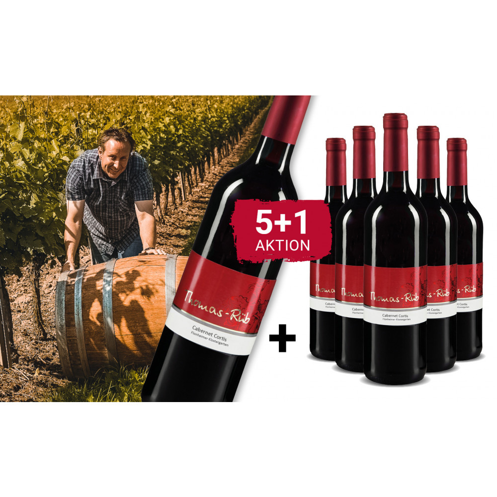 Thomas-Rüb 5+1 Aktion Cabernet Cortis Paket von Weingut Thomas-Rüb ...