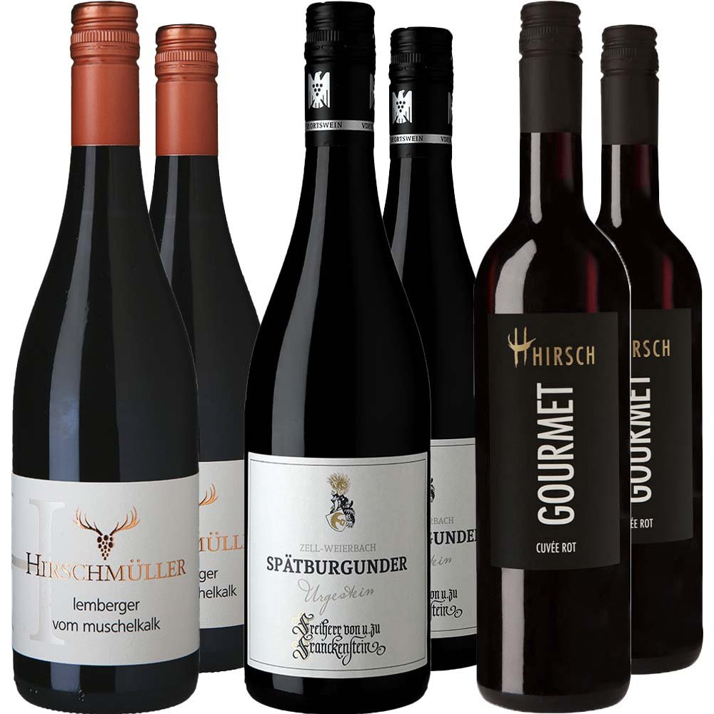 WirWinzer Select Rotwein Selektion-Paket
