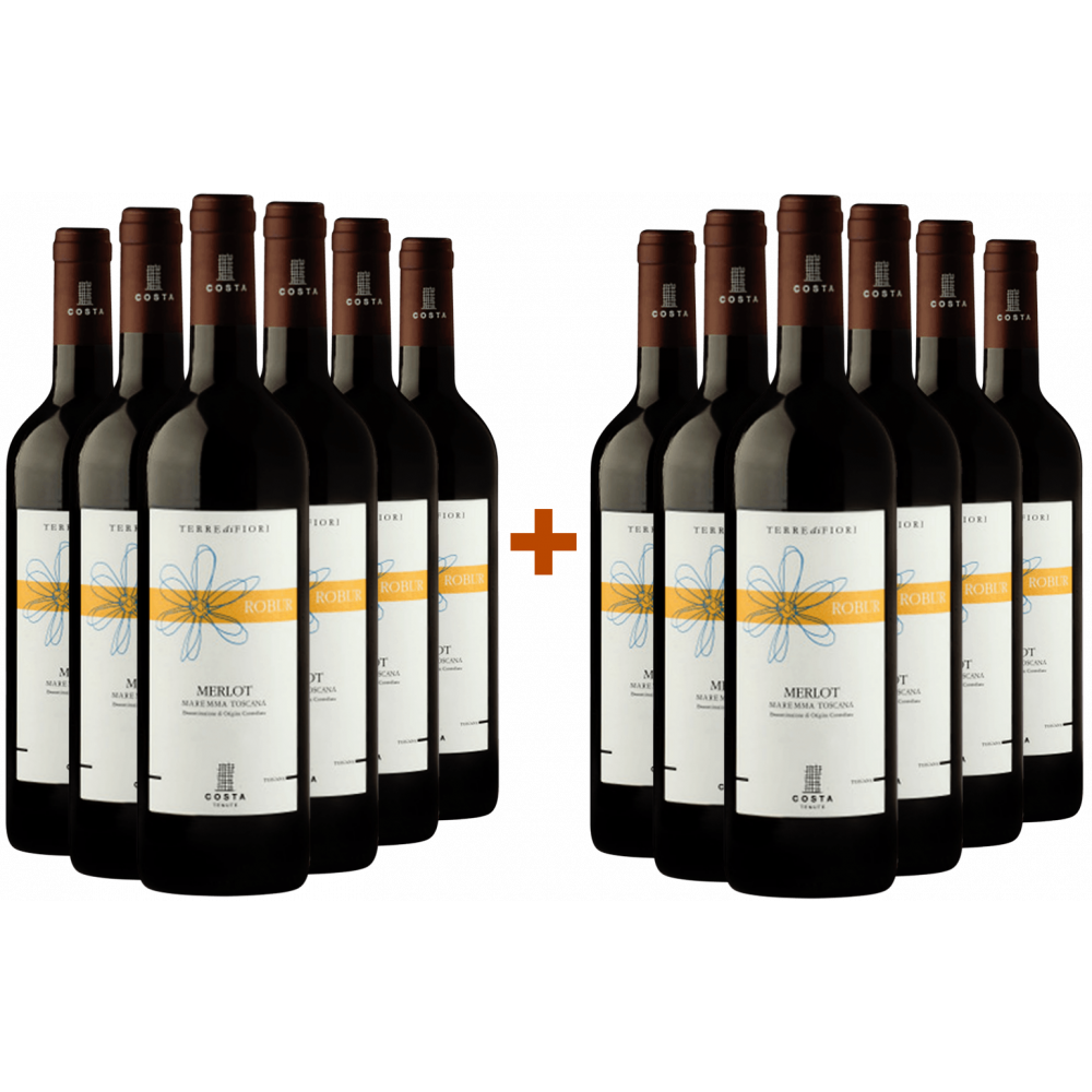 Tenute Costa 6+6 Paket Robur Merlot Toscana IGP