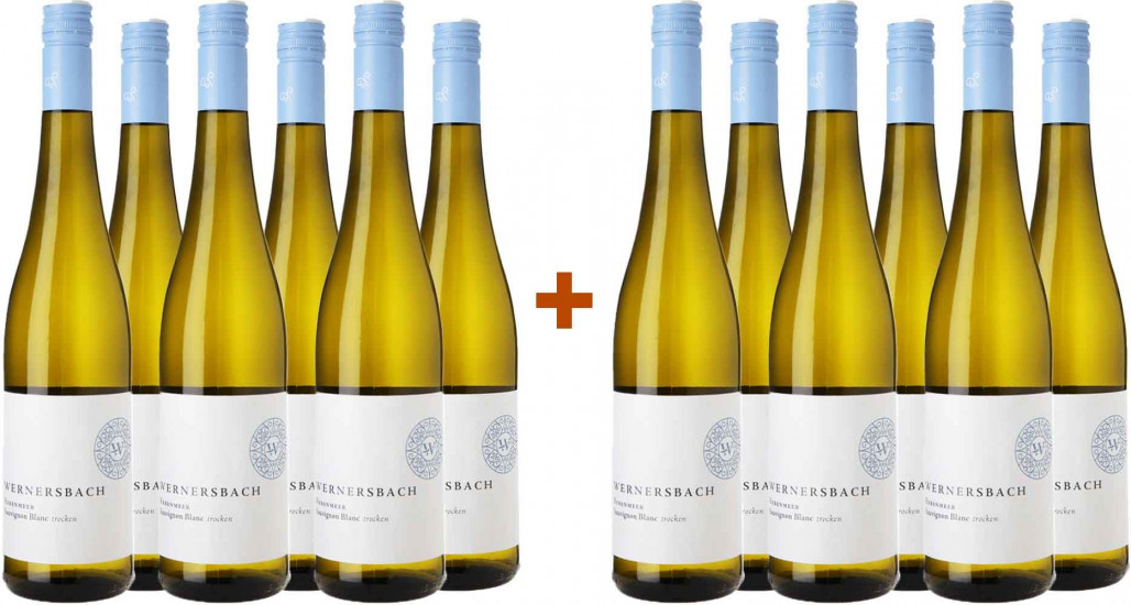 WirWinzer Select 6+6 Paket Rebenmeer Sauvignon Blanc - Stephan Wernersbach