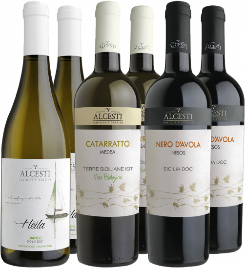 Alcesti Alcesti Kennenlern-Paket bei WirWinzer bestellen