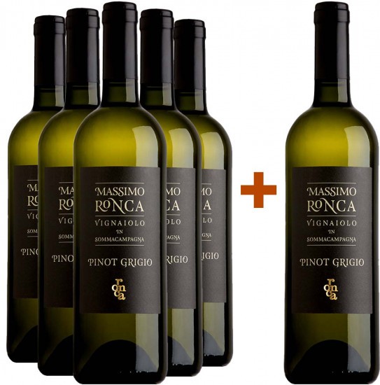 Ronca 5+1 Paket Pinot Grigio delle Venezie DOC Bio
