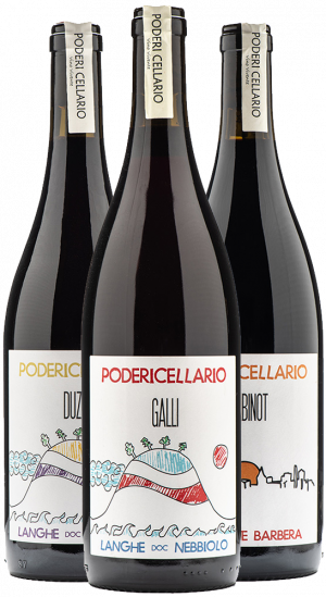 Poderi Cellario Rotweinkennenlernpaket