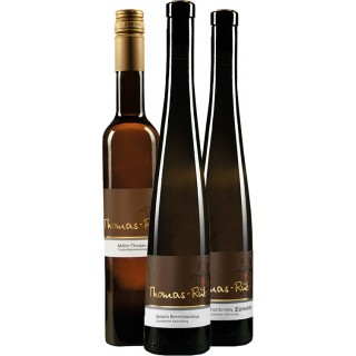 Weingut Thomas-Rüb - Wein direkt ab Hof kaufen | WirWinzer.de