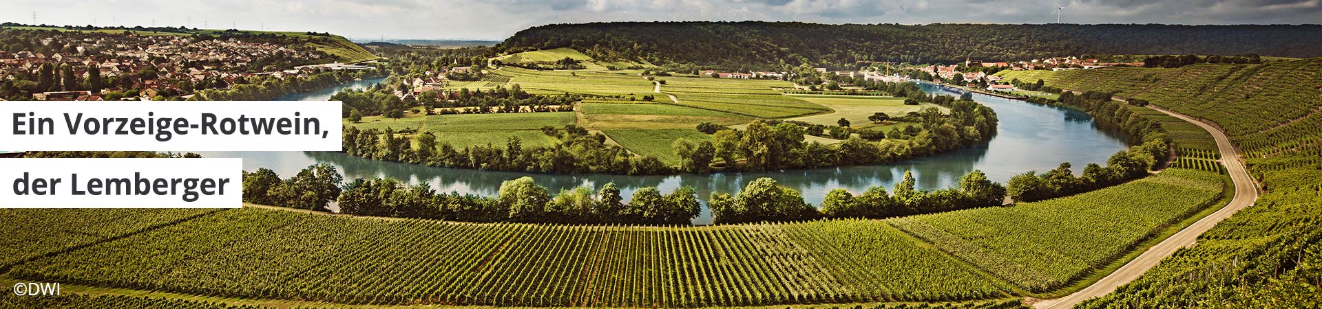 Lemberger - Weine direkt vom Winzer | WirWinzer.de
