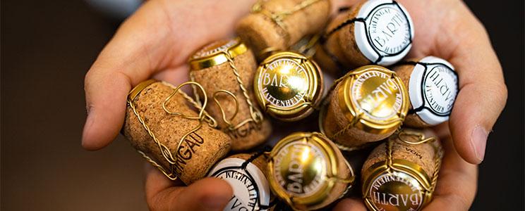 Weingut Barth - Wein direkt ab Hof kaufen | WirWinzer.de