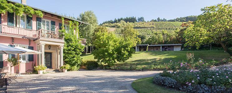 Weingut Reverchon - Wein direkt ab Hof | WirWinzer.de