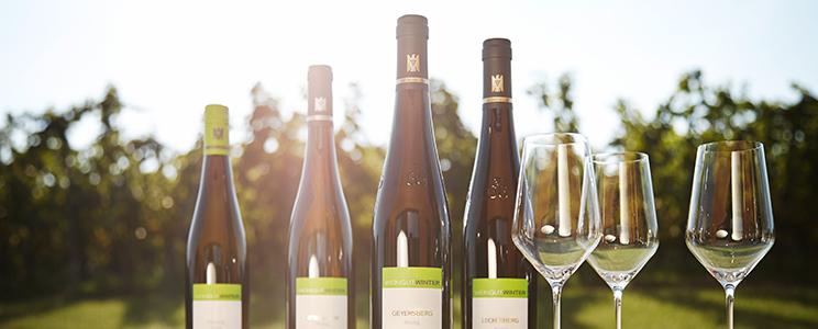 Weingut Winter Wein kaufen