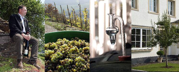 Weingut Johann Peter Mertes