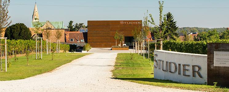 Weingut Studier - Wein direkt ab Hof kaufen | WirWinzer.de