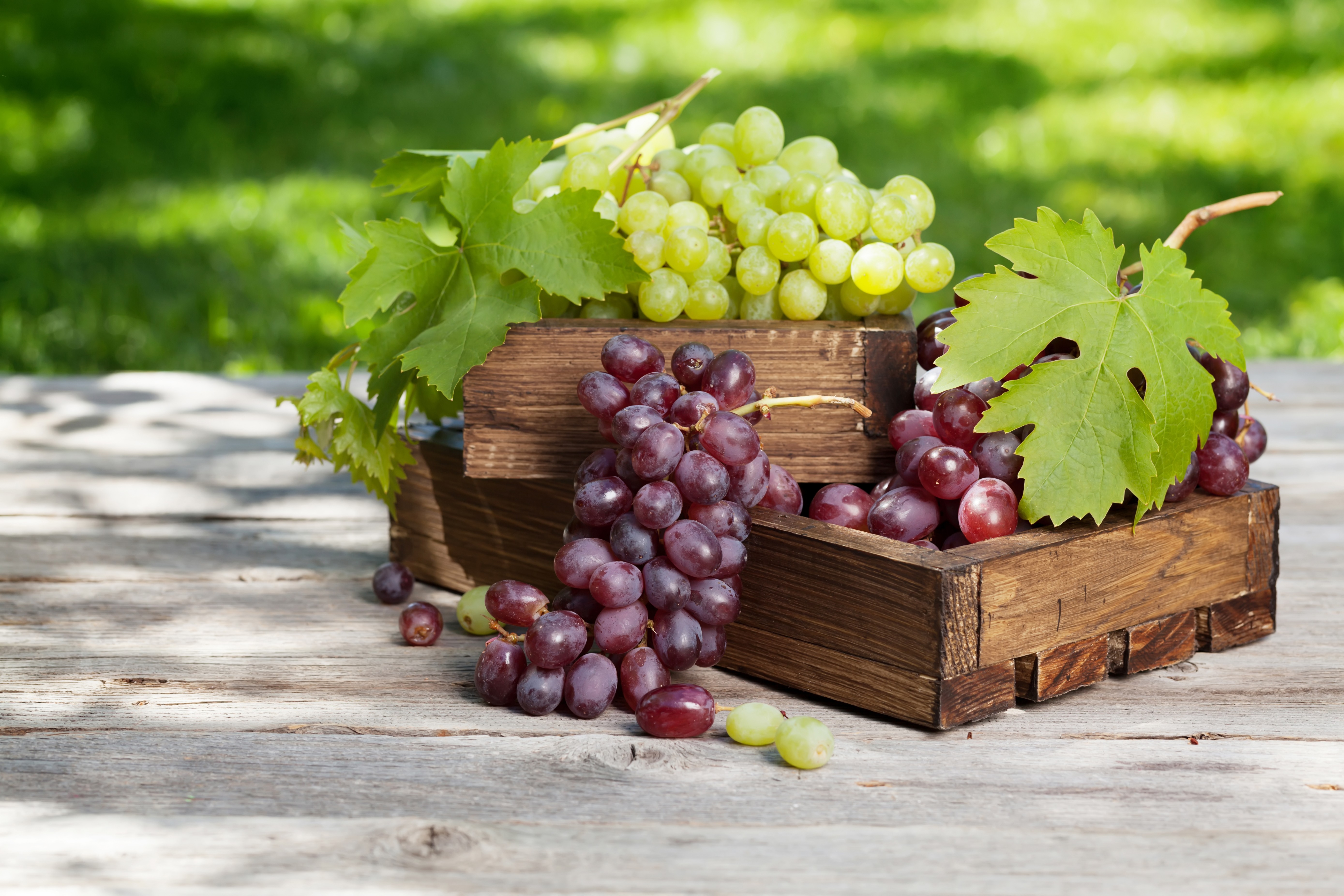 Rotling-Wein – der feinfruchtige Wein für den Sommer